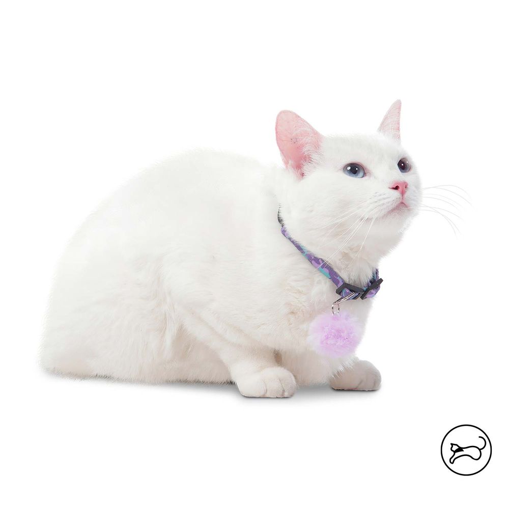 Collar Ajustable Meow Para Gato - Totto Colombia